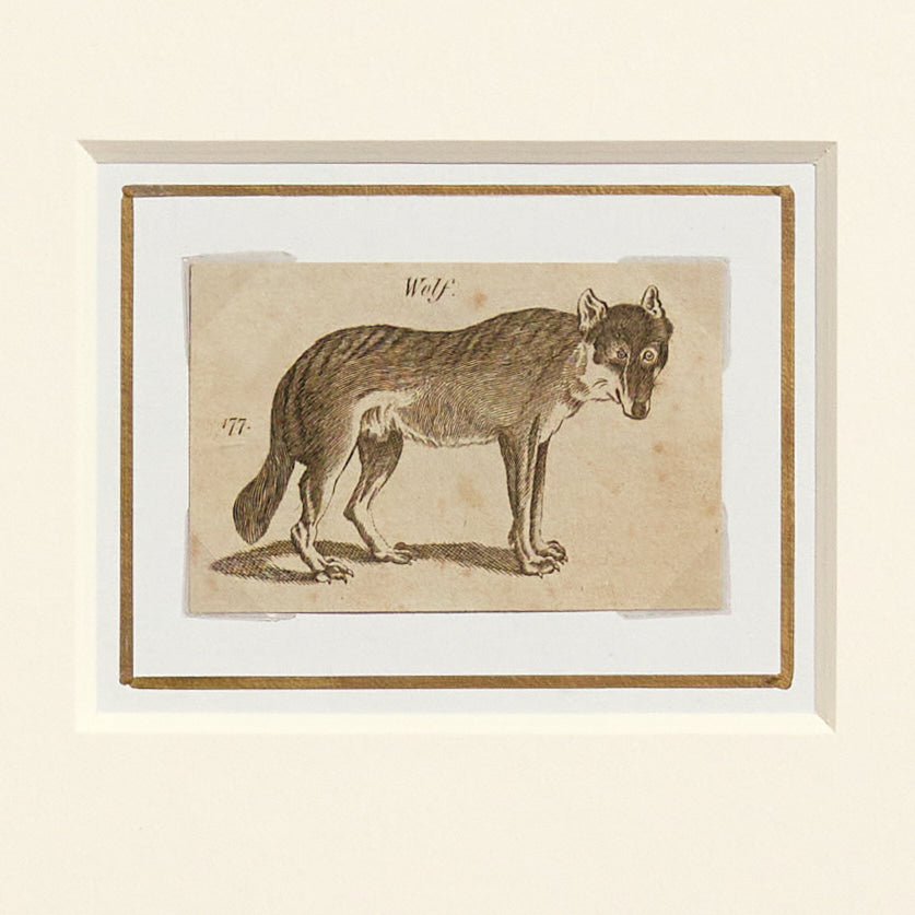 Studio H Collection Art -Parisian Wolf